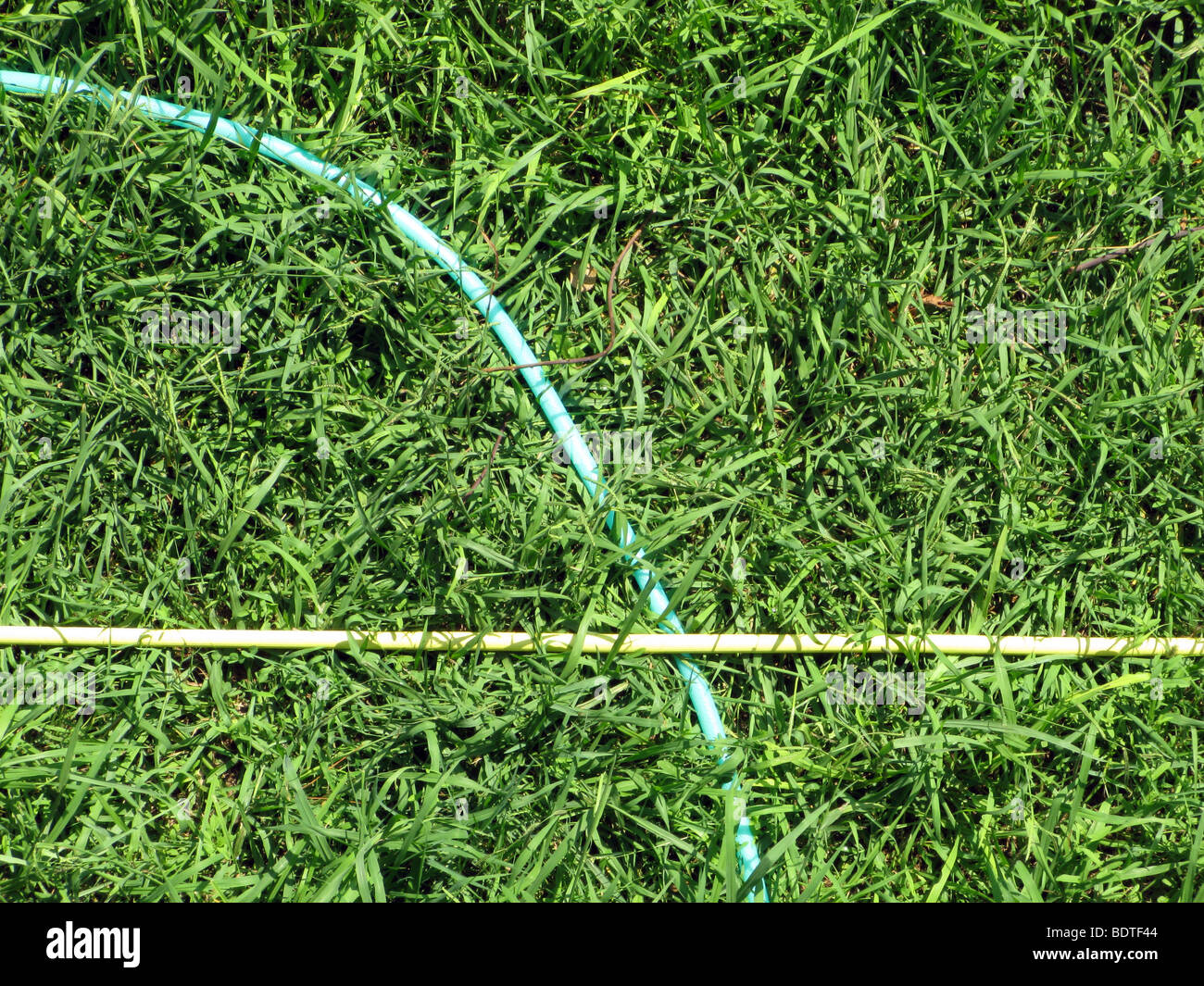aerial view of two water hose pipes on garden lawn in sun Stock Photo ...