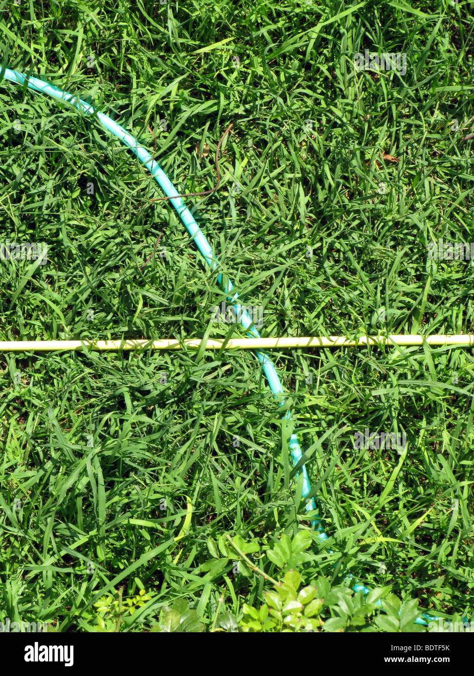 aerial view of two water hose pipes on garden lawn in sun Stock Photo ...