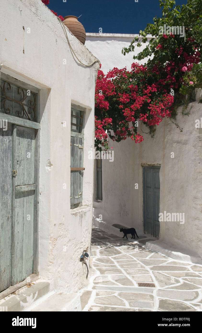Whitewashed buildings in the Greek hill village of Lefkes, Paros ...