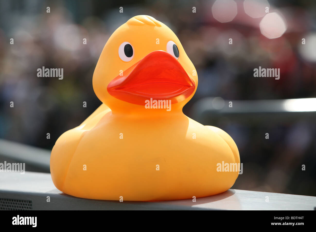 Yellow plastic duck Stock Photo - Alamy