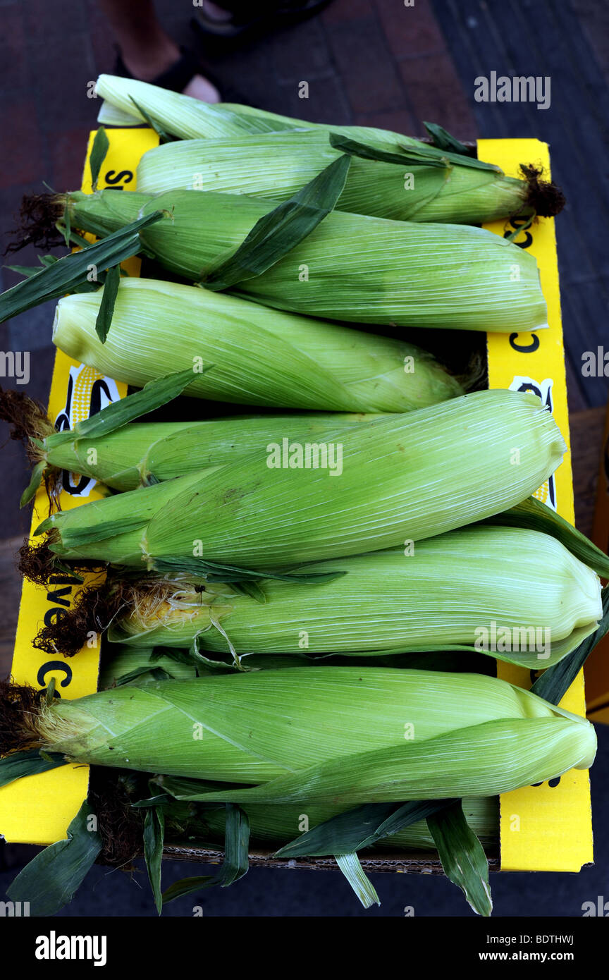 Corn on the cobs in their husks in a box Stock Photo - Alamy