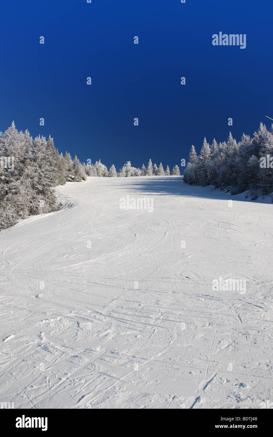 Snow slope tree hi-res stock photography and images - Alamy