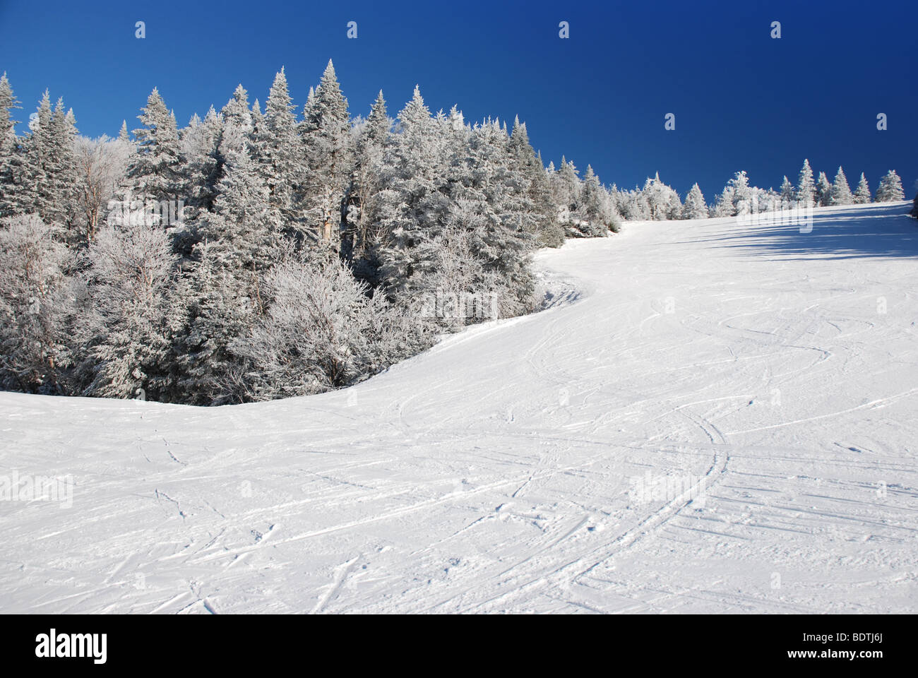Ski slope on tree covered mountain side in Canada Stock Photo - Alamy