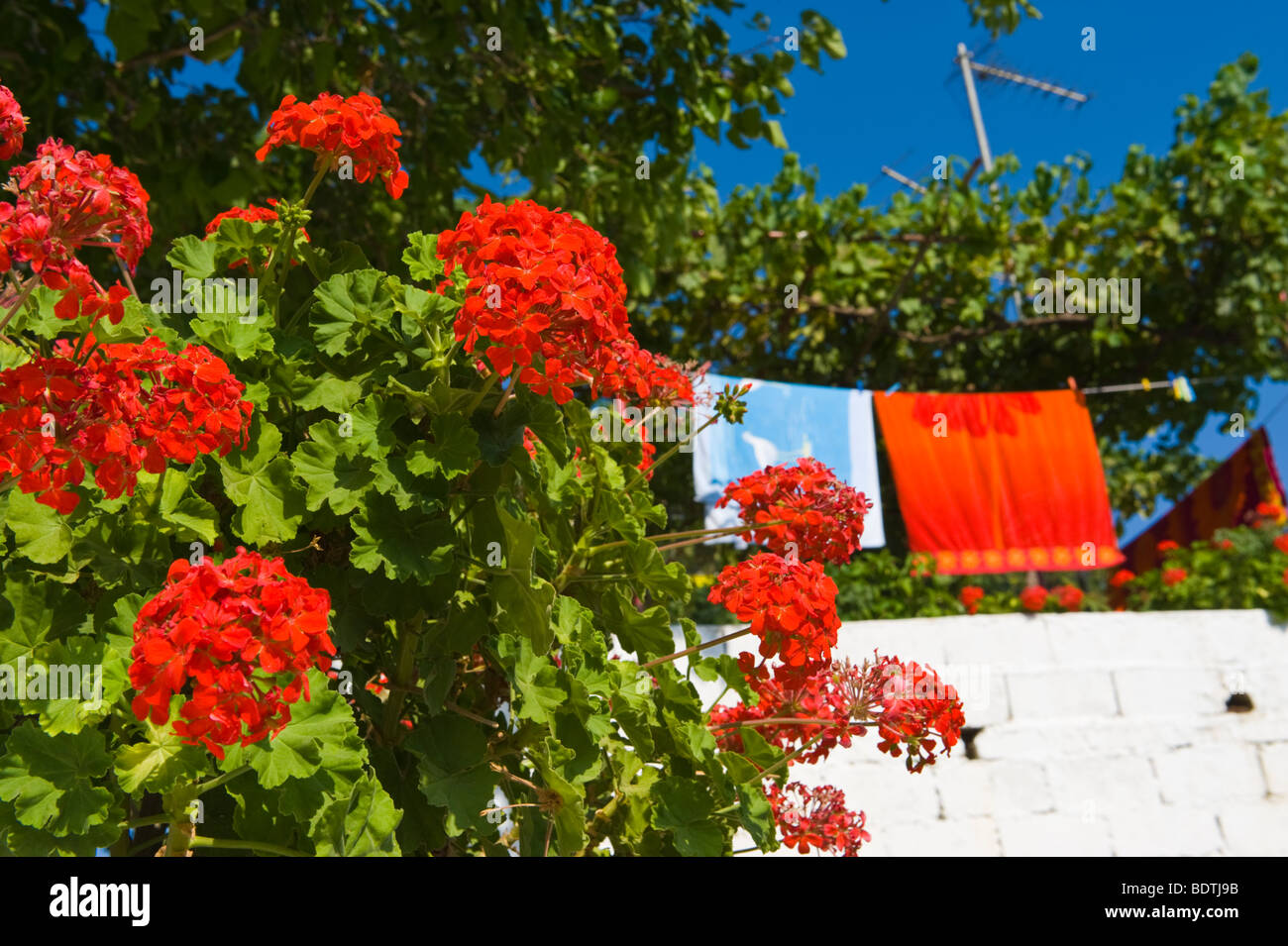 Towels hanging on washing line in village of Pastra on the Greek ...