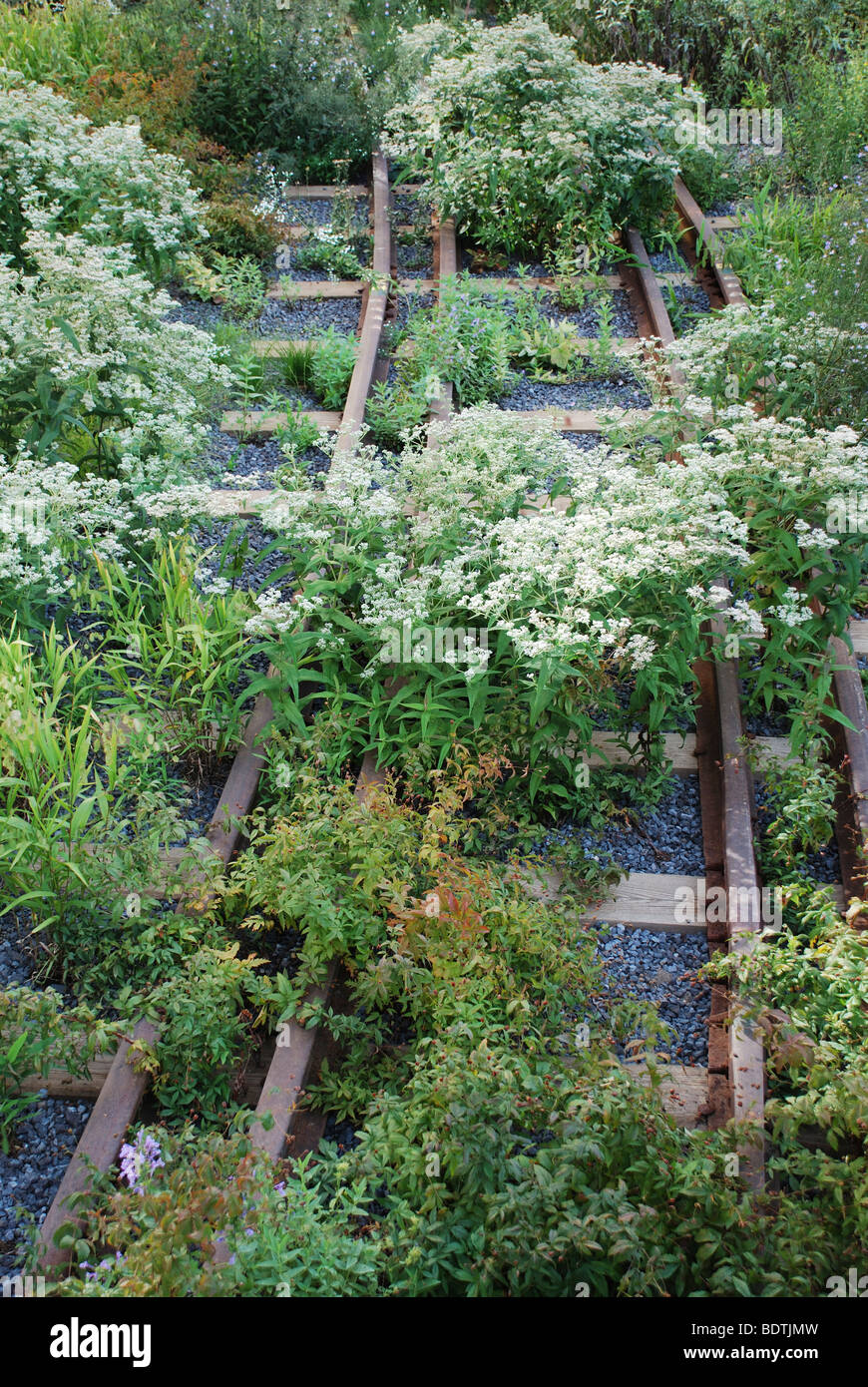 Detail of historic park conservancy High line with natural plantings in ...