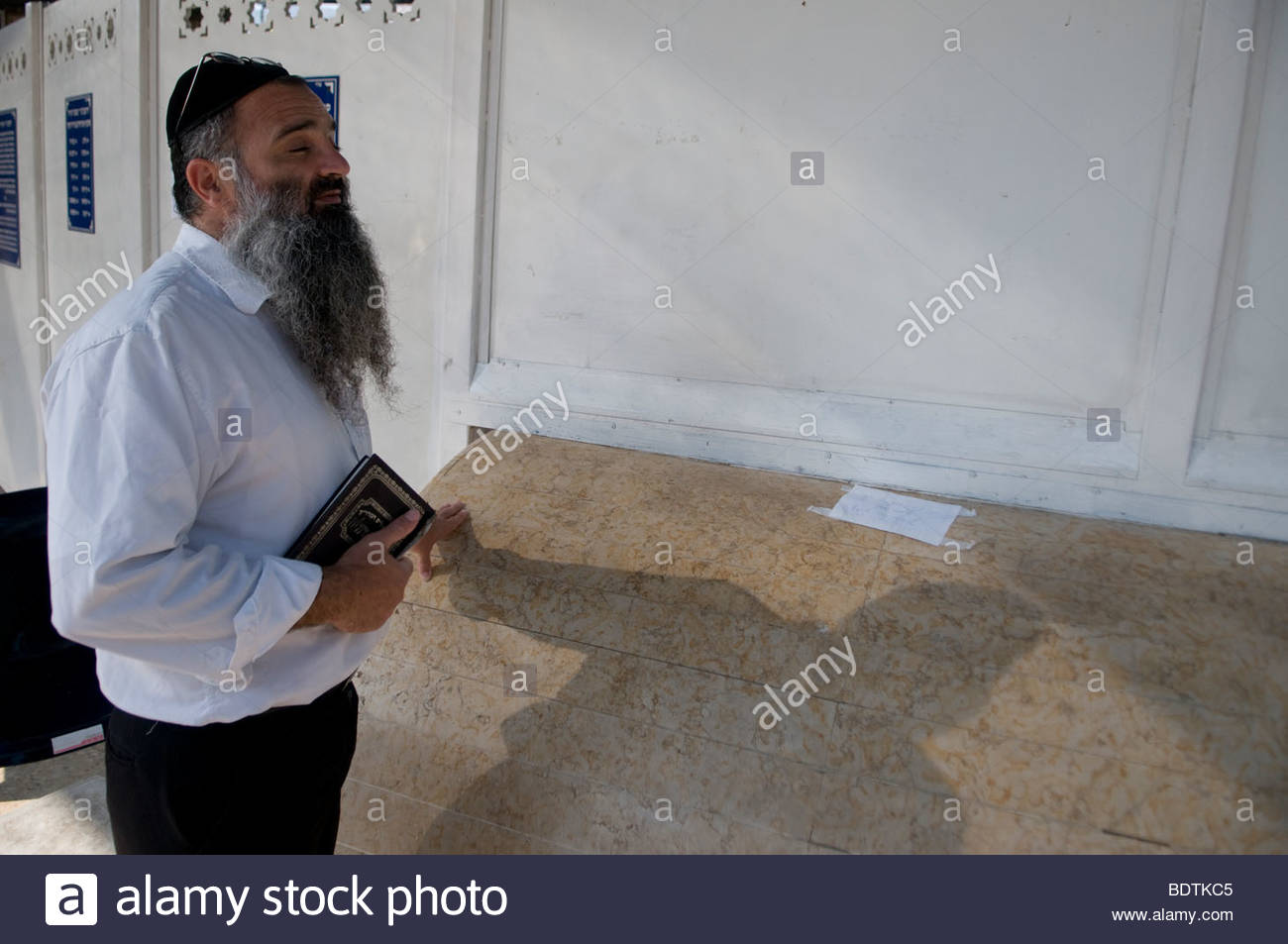 Maimon Stock Photos & Maimon Stock Images - Alamy