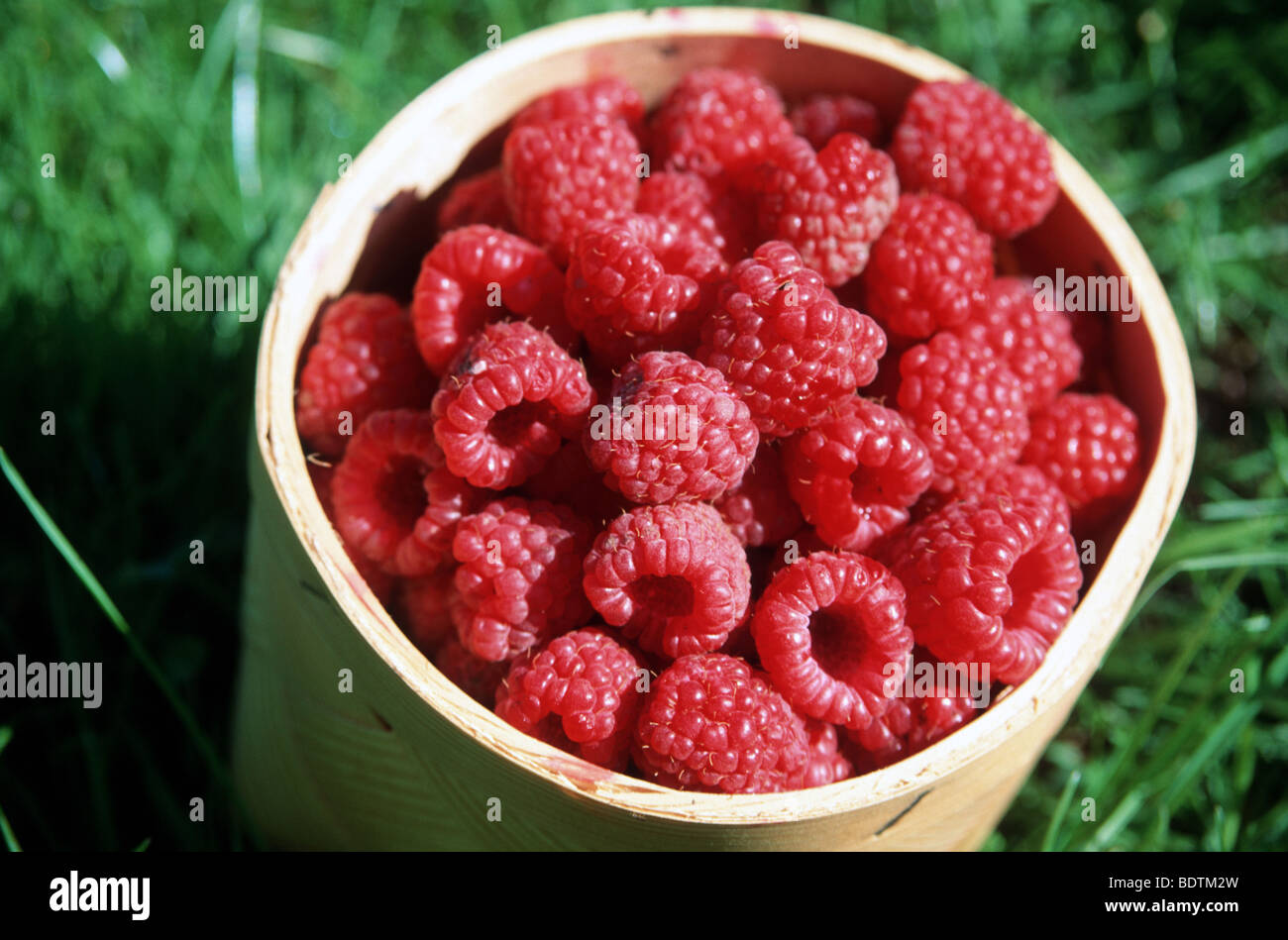 Fat burners hi-res stock photography and images - Alamy