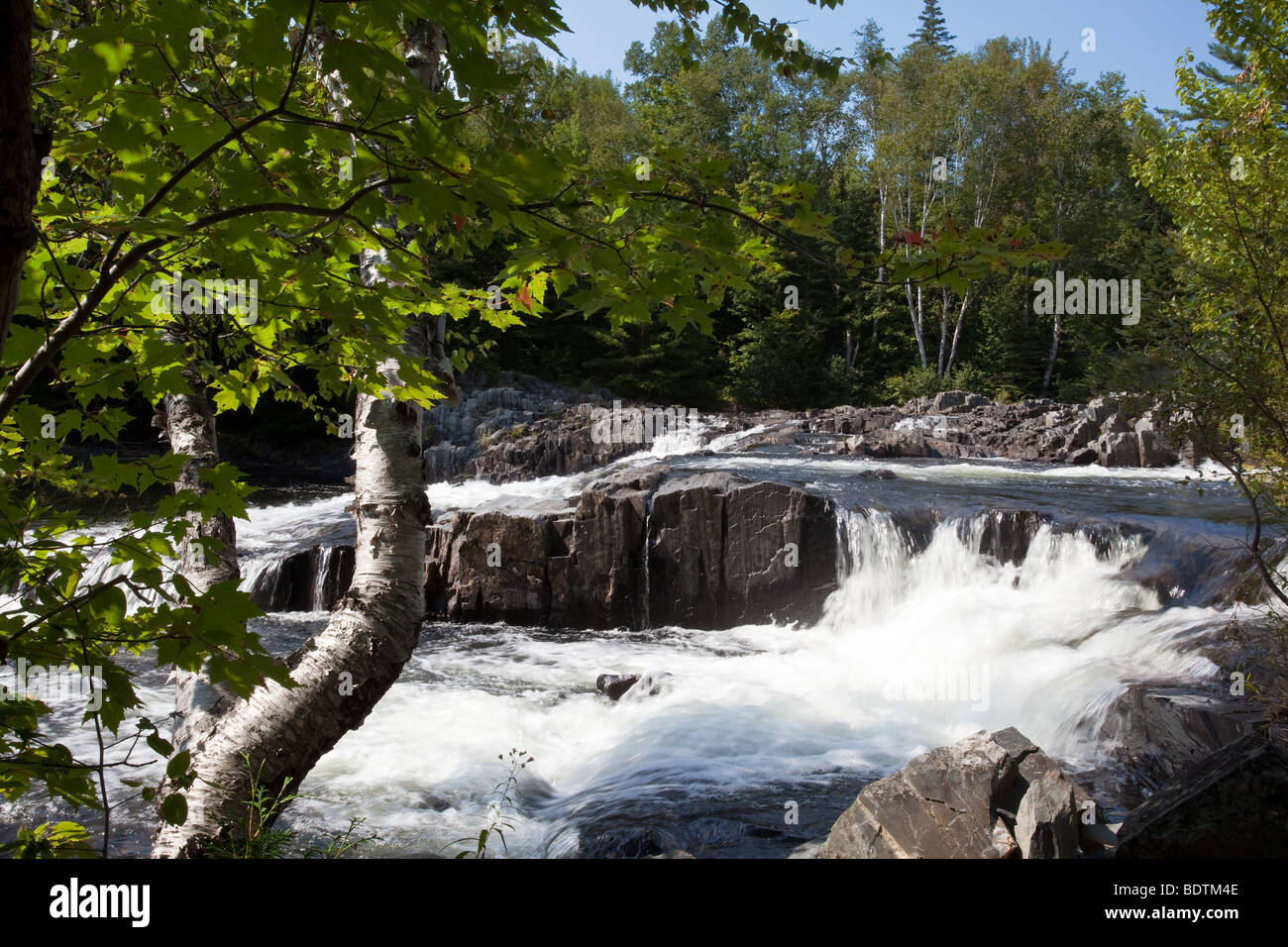 Trout stream hi-res stock photography and images - Alamy