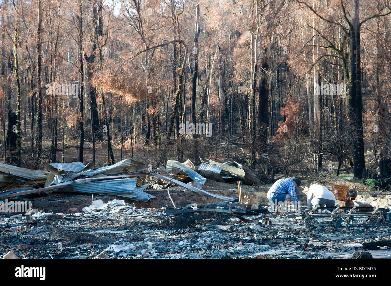 People looking for remains after a bushfire, Marysville, Victoria ...