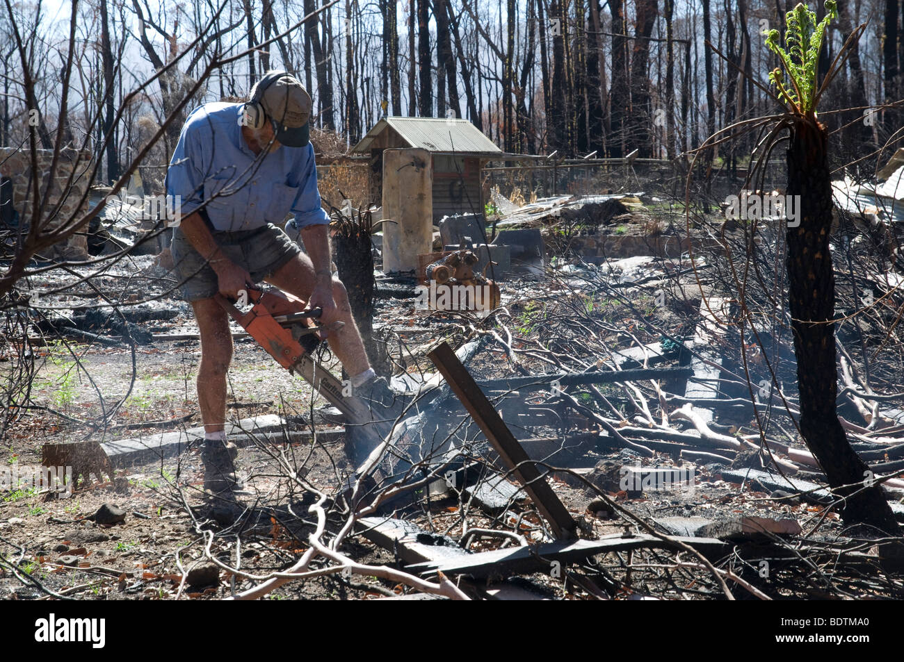 Man using a chainsaw in the aftermath of a bushfire, Marysville ...
