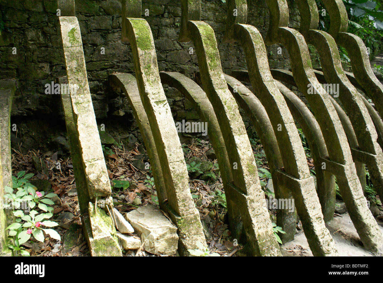 Serpent shaped concrete buttresses at Las Pozas, the surrealistic ...