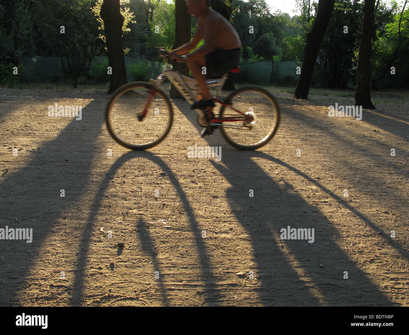 Cycling woods on dirt road hi-res stock photography and images - Alamy