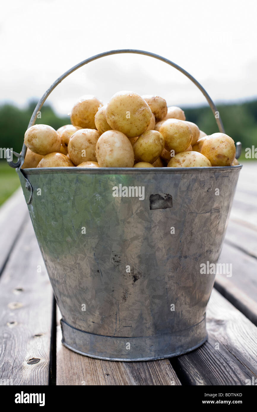 Pail full of hi-res stock photography and images - Alamy