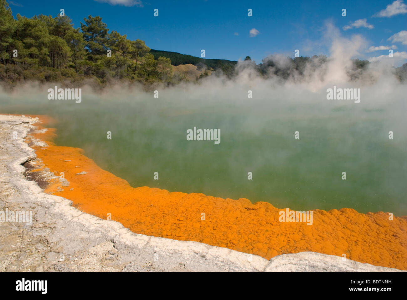 thermal spring in north island, New Zealand Stock Photo - Alamy