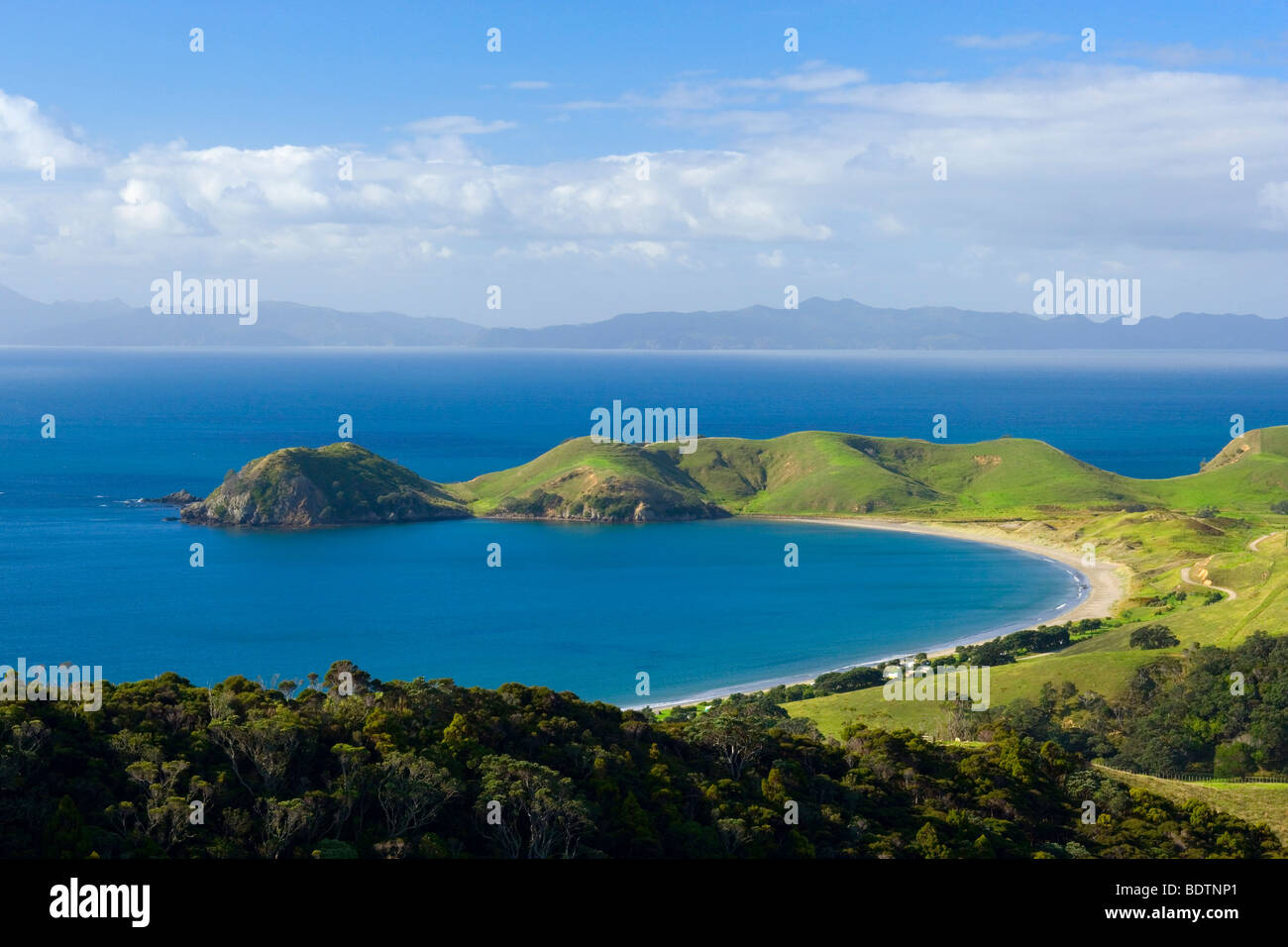 Port jackson new zealand hi-res stock photography and images - Alamy