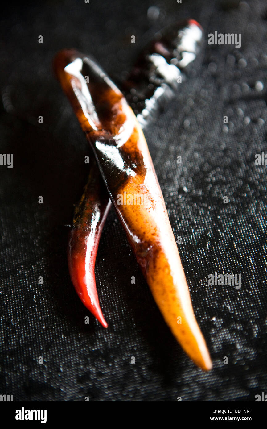 Burned chilli fruits close-up Sweden Stock Photo - Alamy