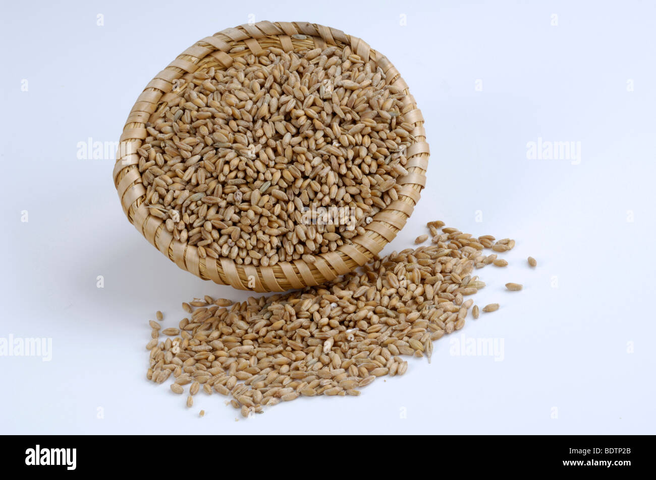 Composite figure hi-res stock photography and images - Alamy