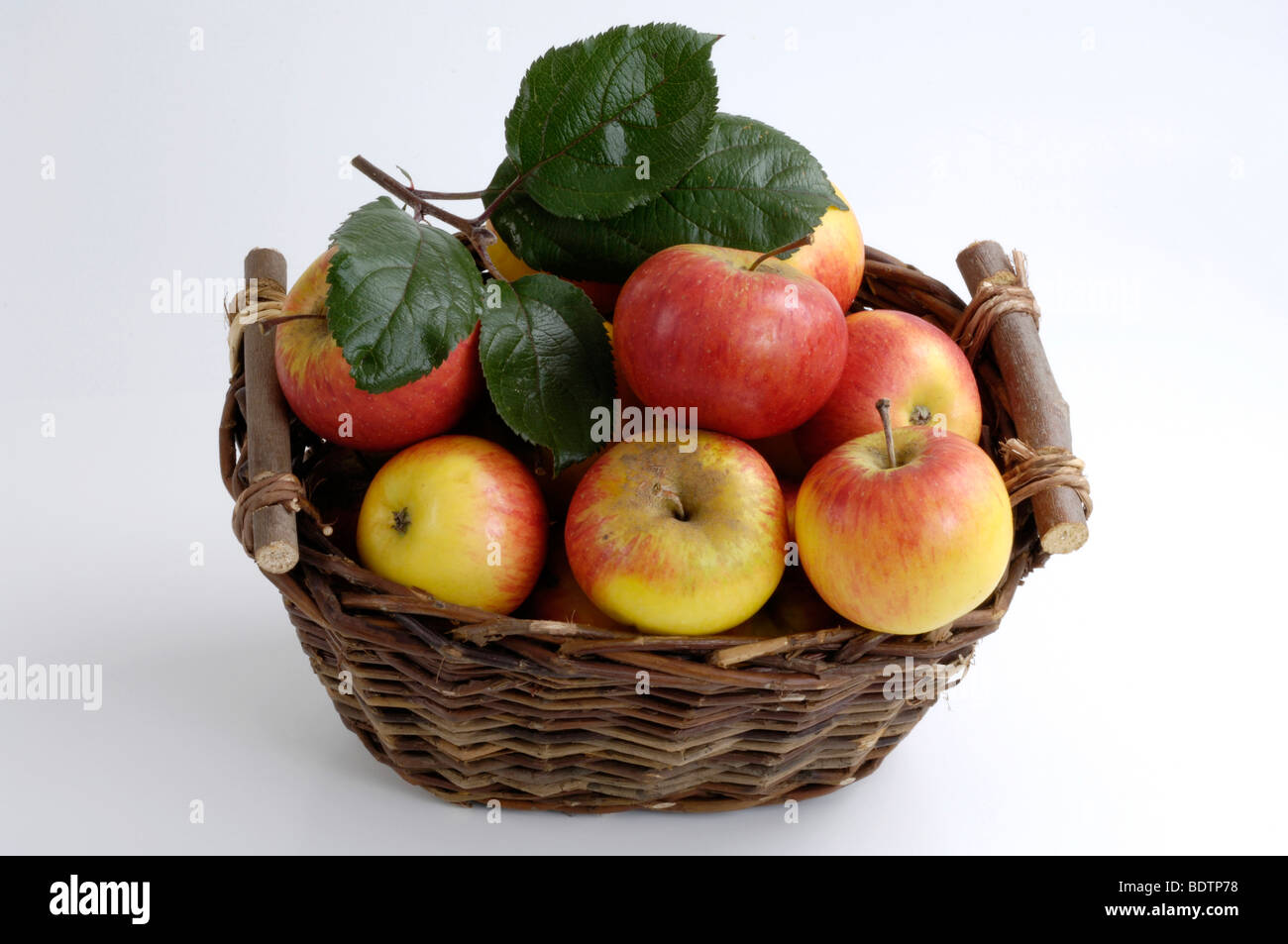 Apfel apples malus domesticus aepfel hi-res stock photography and ...