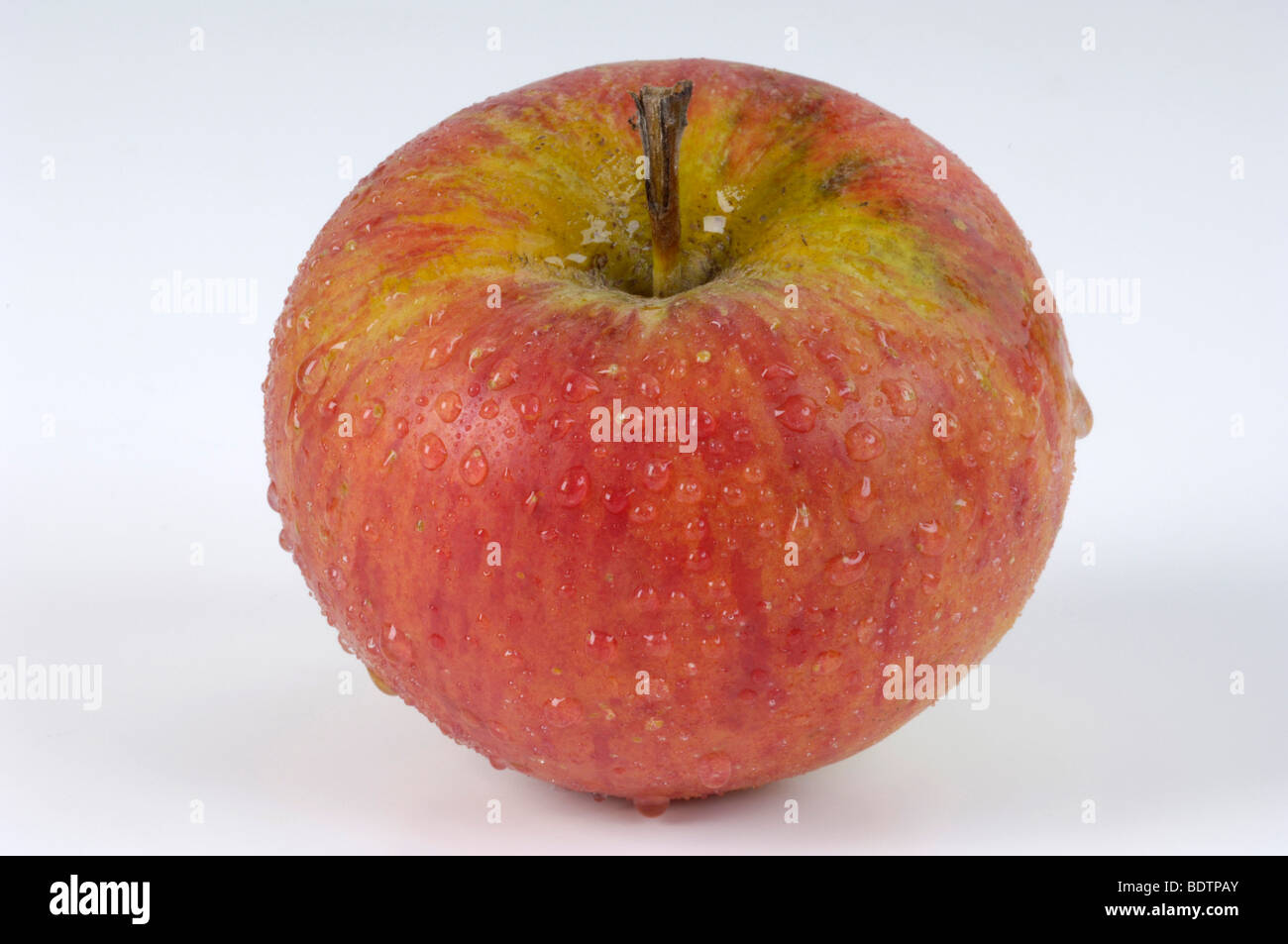 Topaz, Apfel, Apple, Malus domesticus, Apfel, innen, Studio, indoor ...