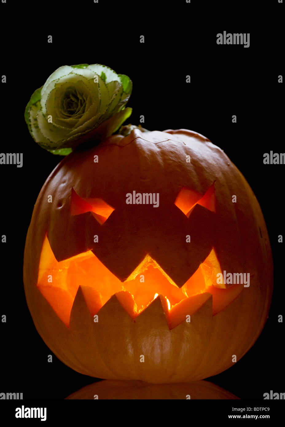 Plants inside pumpkin hi-res stock photography and images - Alamy