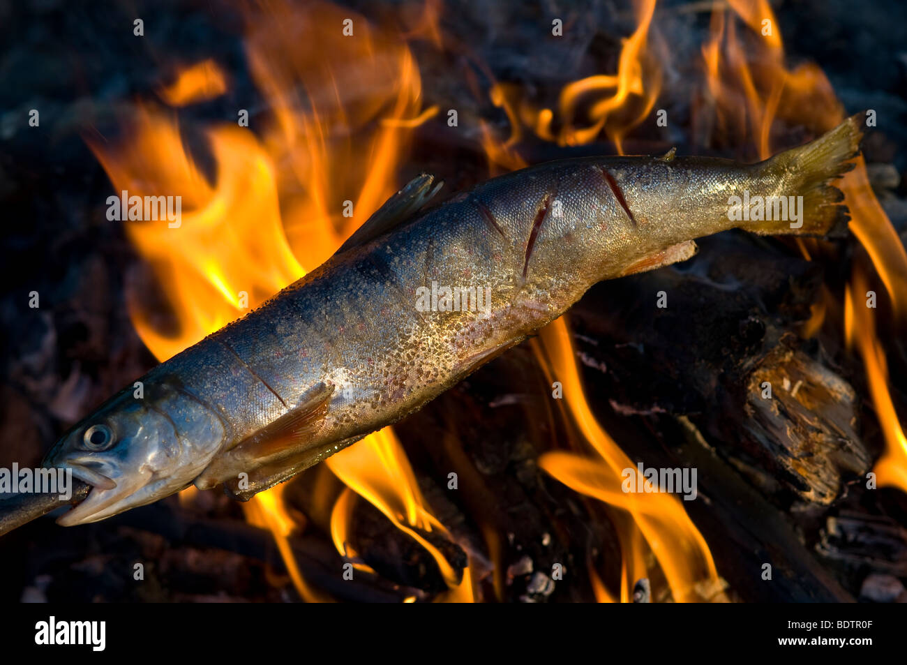 Bratfisch hi-res stock photography and images - Alamy