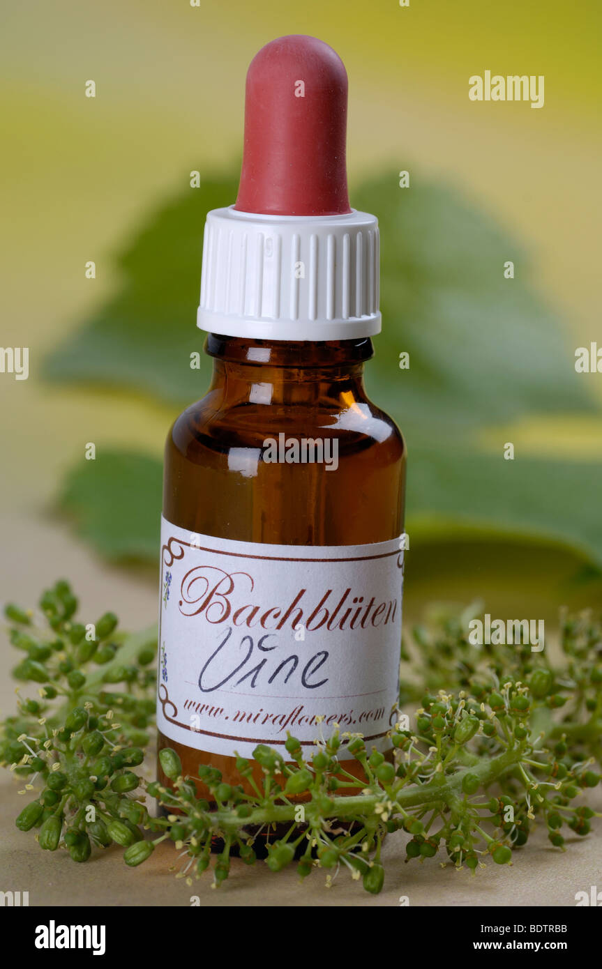 Bach flower drops hi-res stock photography and images - Alamy