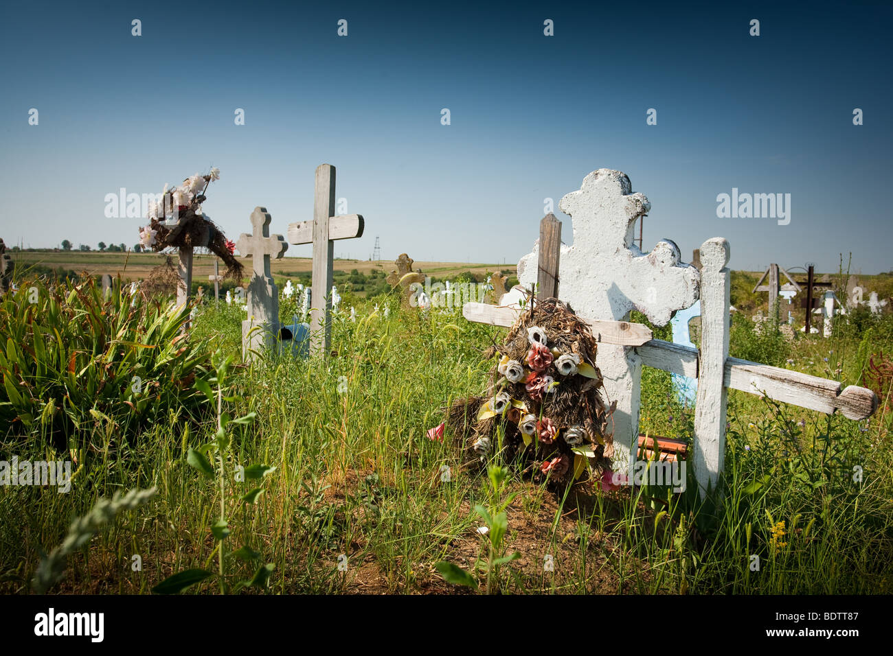 Graveyard Weed High Resolution Stock Photography and Images - Alamy