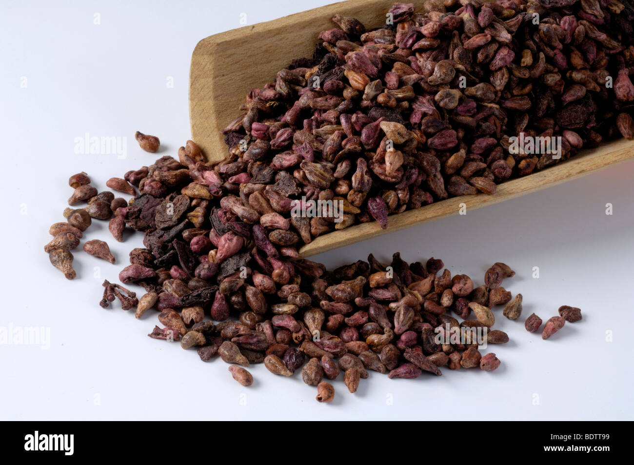 Common Grape, Vine grape seeds / (Vitis vinifera Stock Photo - Alamy