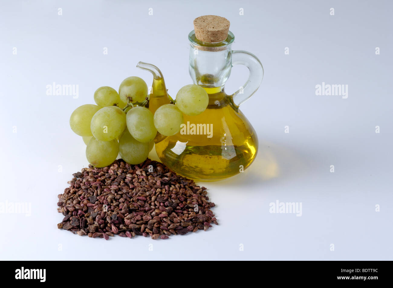 Common Grape, Vine grape seeds + grape-vine / (Vitis vinifera Stock ... Common Grape, Vine grape seeds + grape-vine / (Vitis vinifera Stock ...