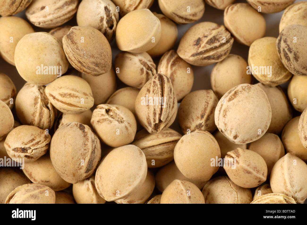 Cherry seed hi-res stock photography and images - Alamy