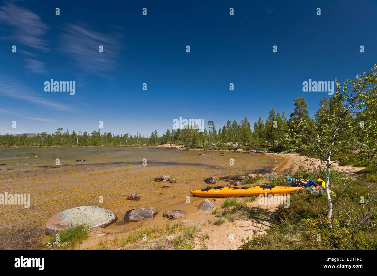 kayak at sandy beach of lake rogen, nature reserve, sweden Stock Photo ...