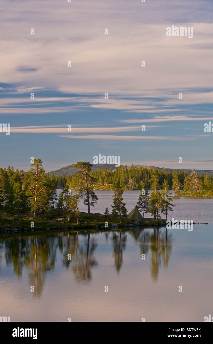 Im naturreservat rogen hi-res stock photography and images - Alamy