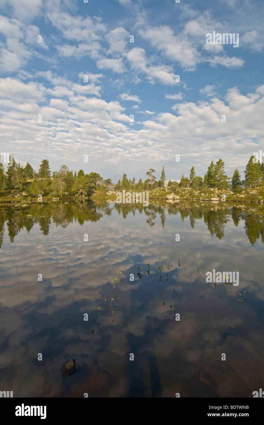 morgendaemmerung bei see im naturrerservat rogen, dawning at lake in ...