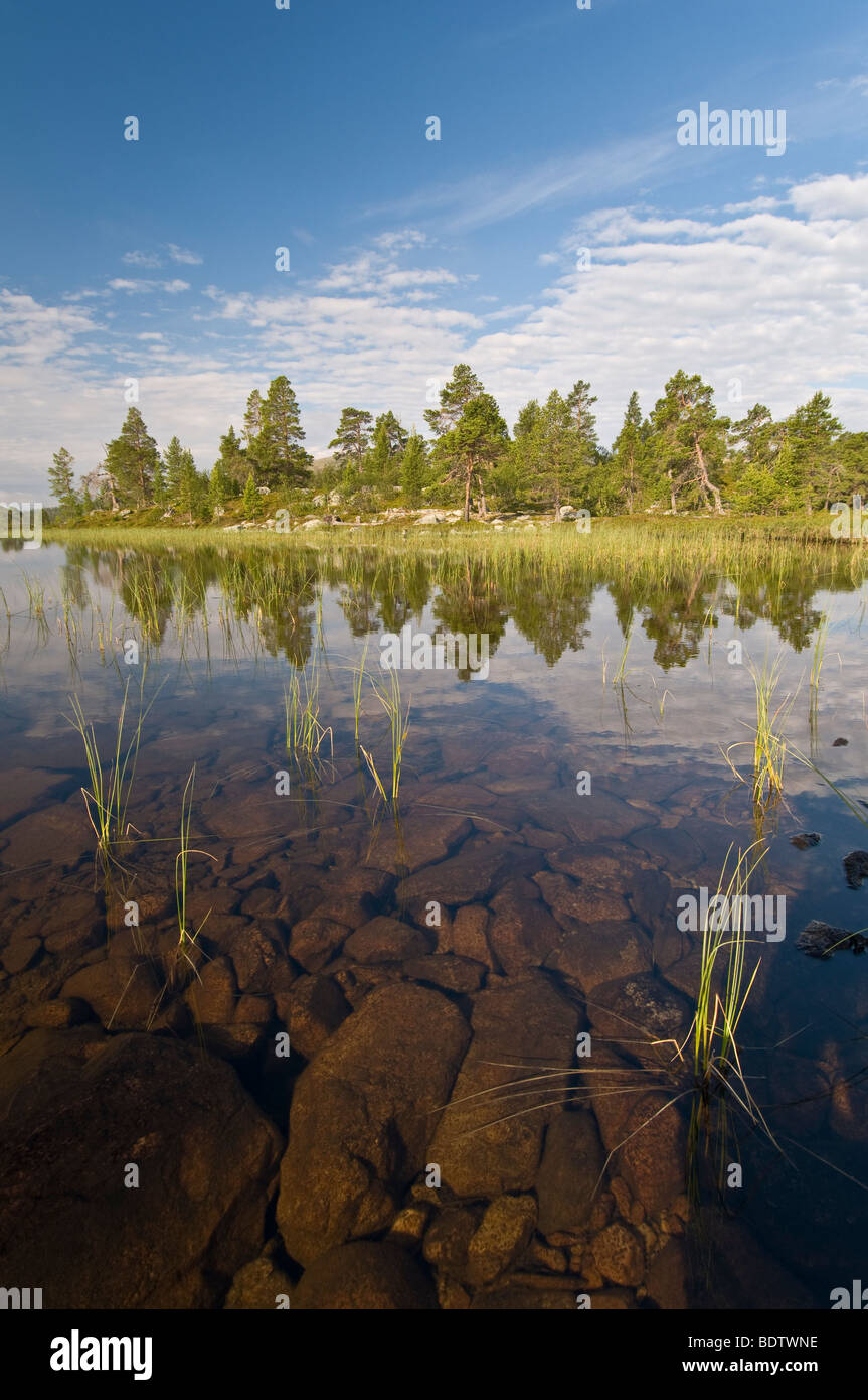morgendaemmerung bei see im naturrerservat rogen, dawning at lake in ...