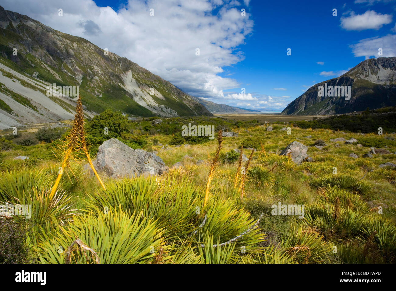 Mount cook national park hi-res stock photography and images - Alamy