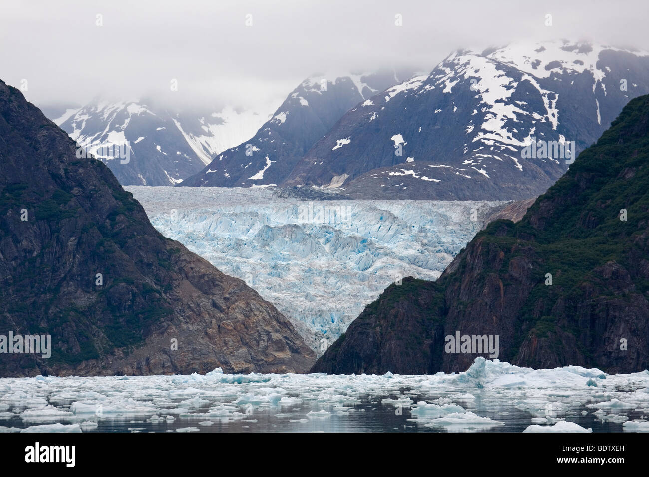 Sawyer-Gletscher - (Tracy Arm) / Sawyer-Glacier - (Tracy Arm) / Juneau ...