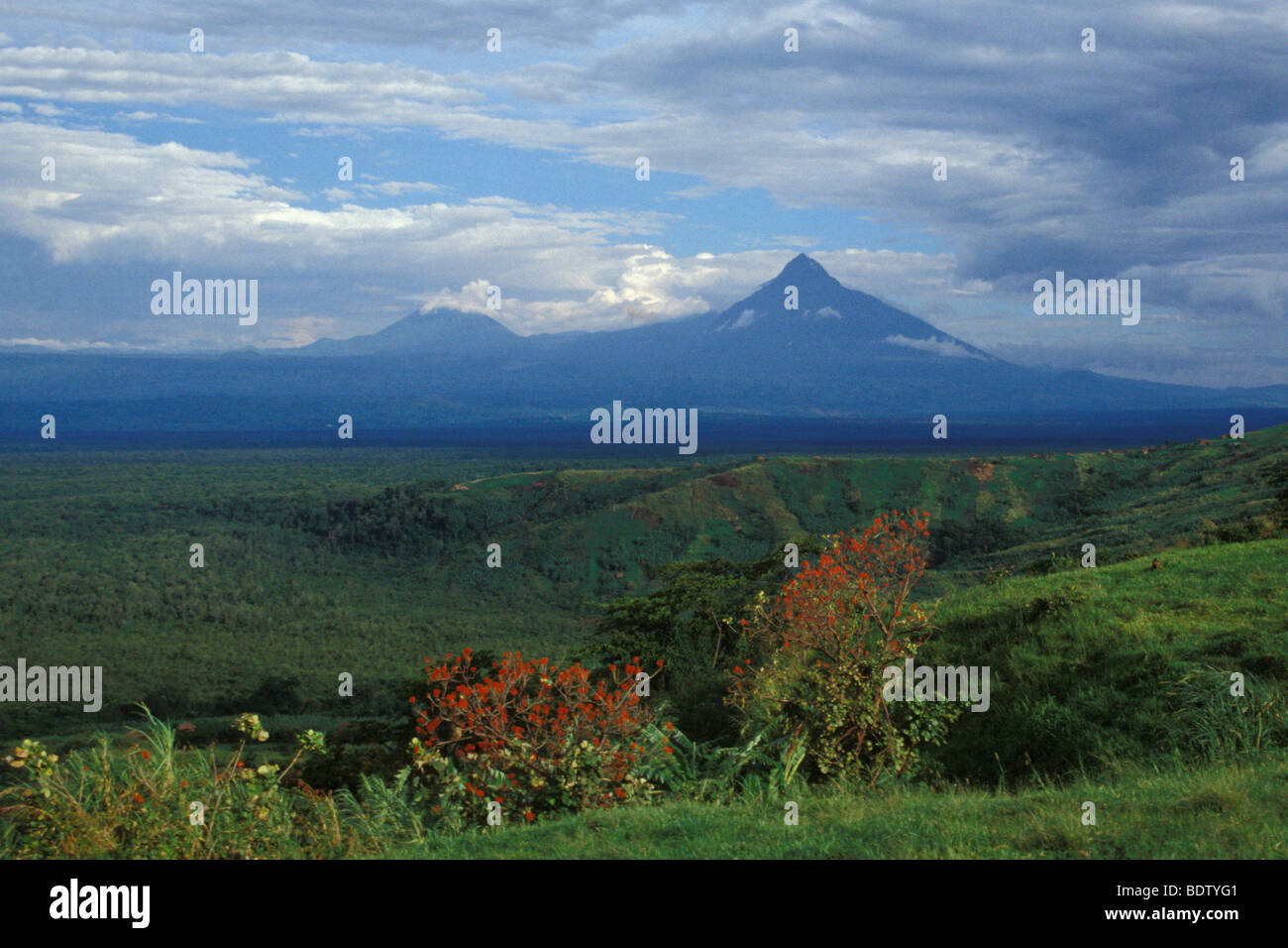 uganda, africa, surrounding of Kampala Stock Photo - Alamy