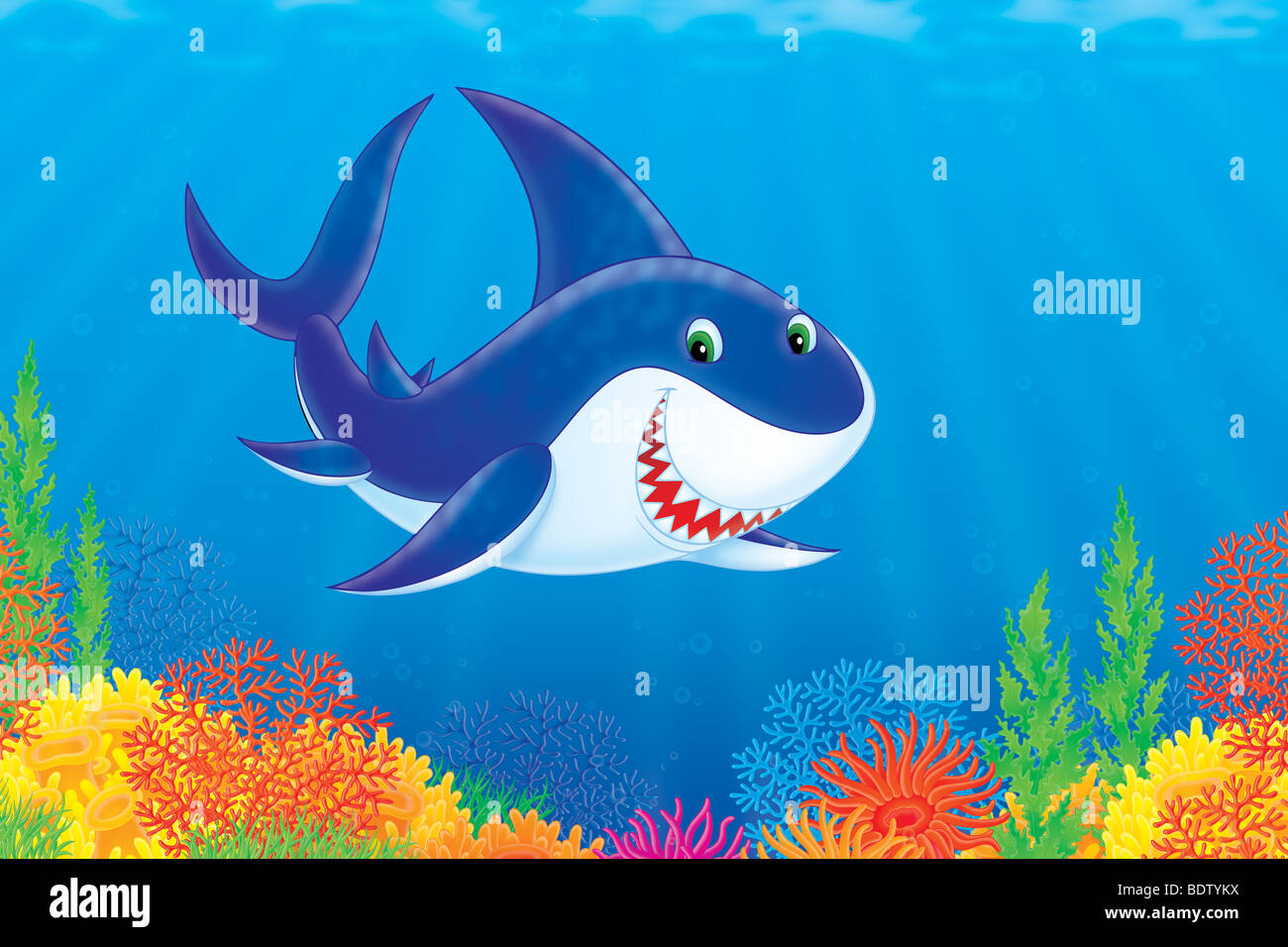 White shark great white shark hi-res stock photography and images - Alamy