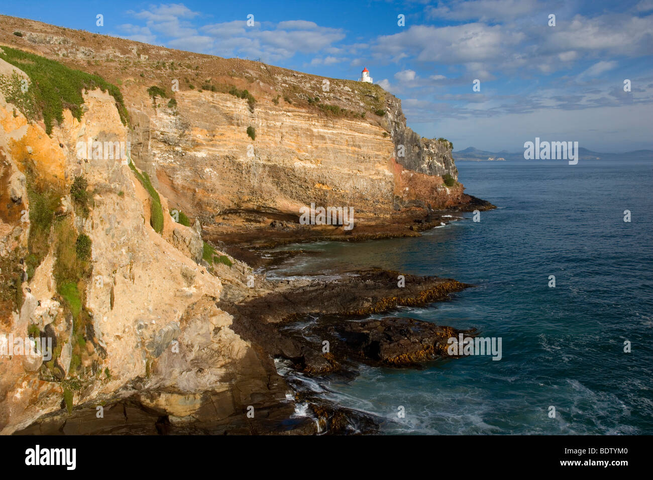 Taiaroa head hi-res stock photography and images - Alamy