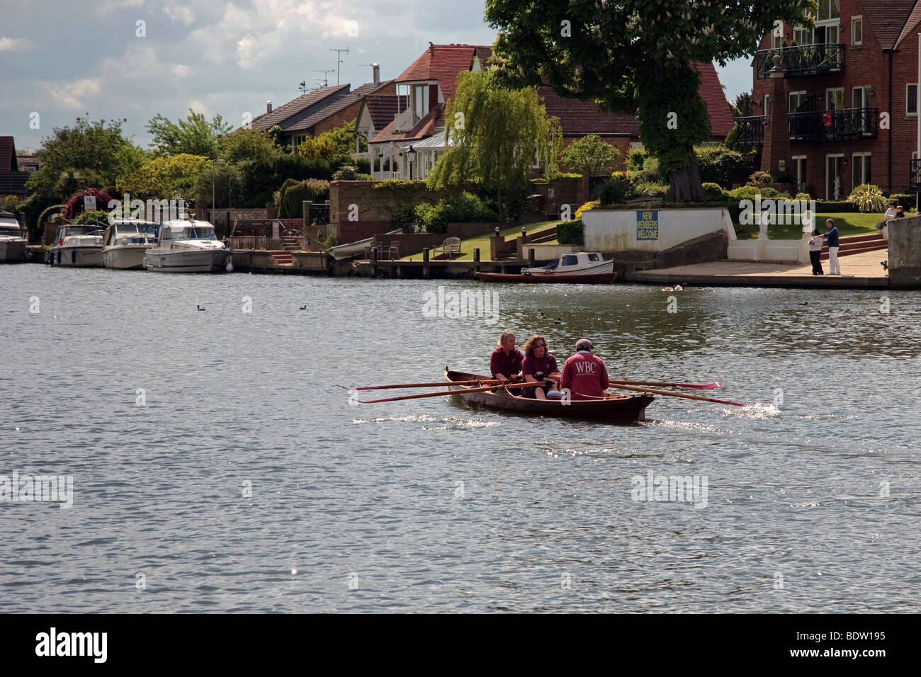 Rowing on the River Thames between Hampton Court and Richmond Stock ...