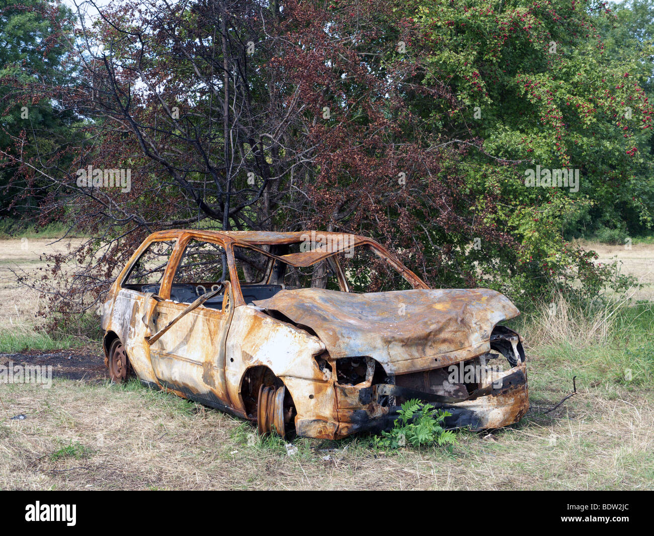 Rust car ford fiesta hi-res stock photography and images - Alamy