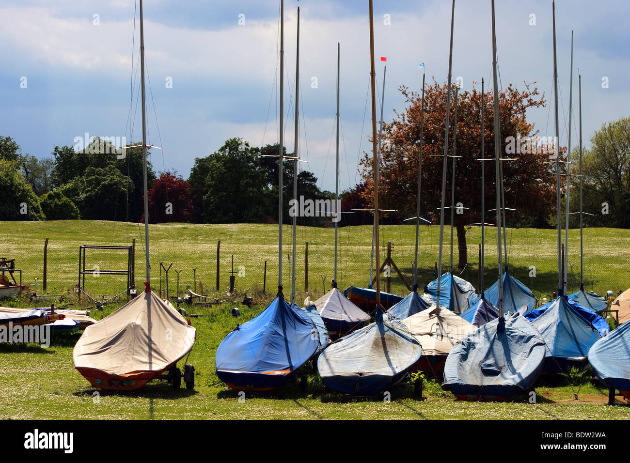 Cluster of dinghies stored in a grass compound Stock Photo - Alamy