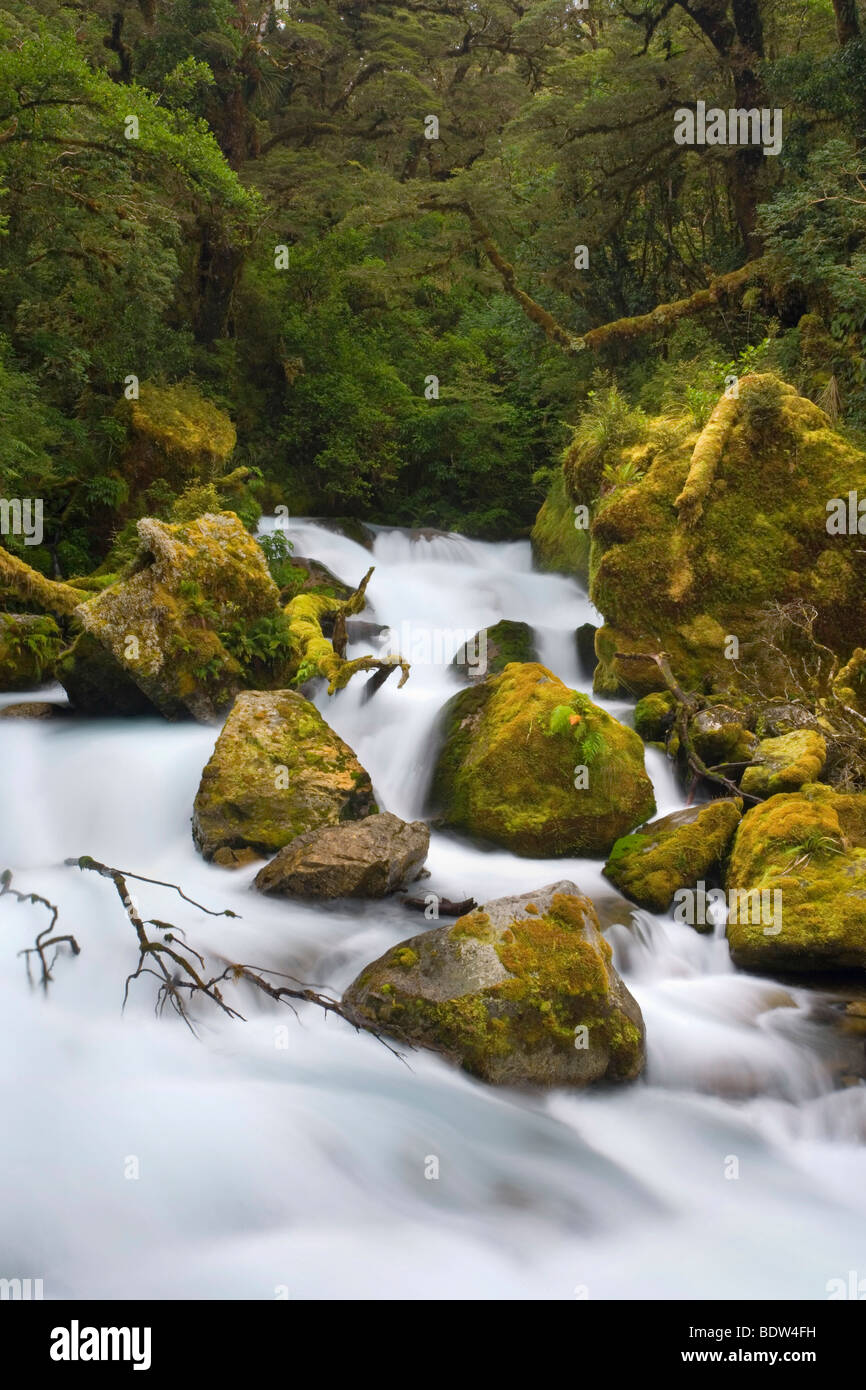 water masses of Waikato river rushing down a gorge towards Huka Falls ... water masses of Waikato river rushing down a gorge towards Huka Falls ...