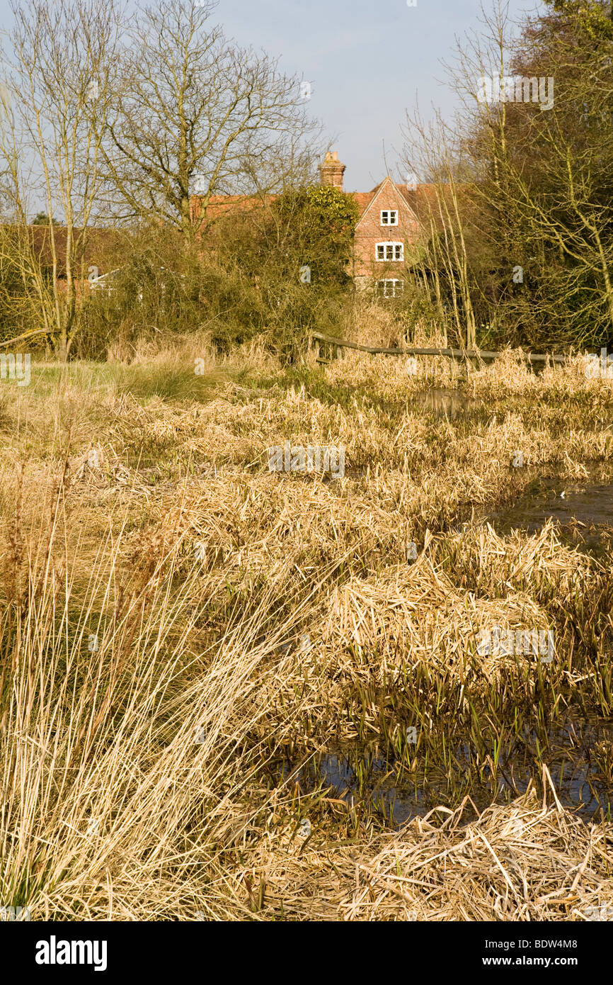 English countryside house in distance with long grasses in foreground ...