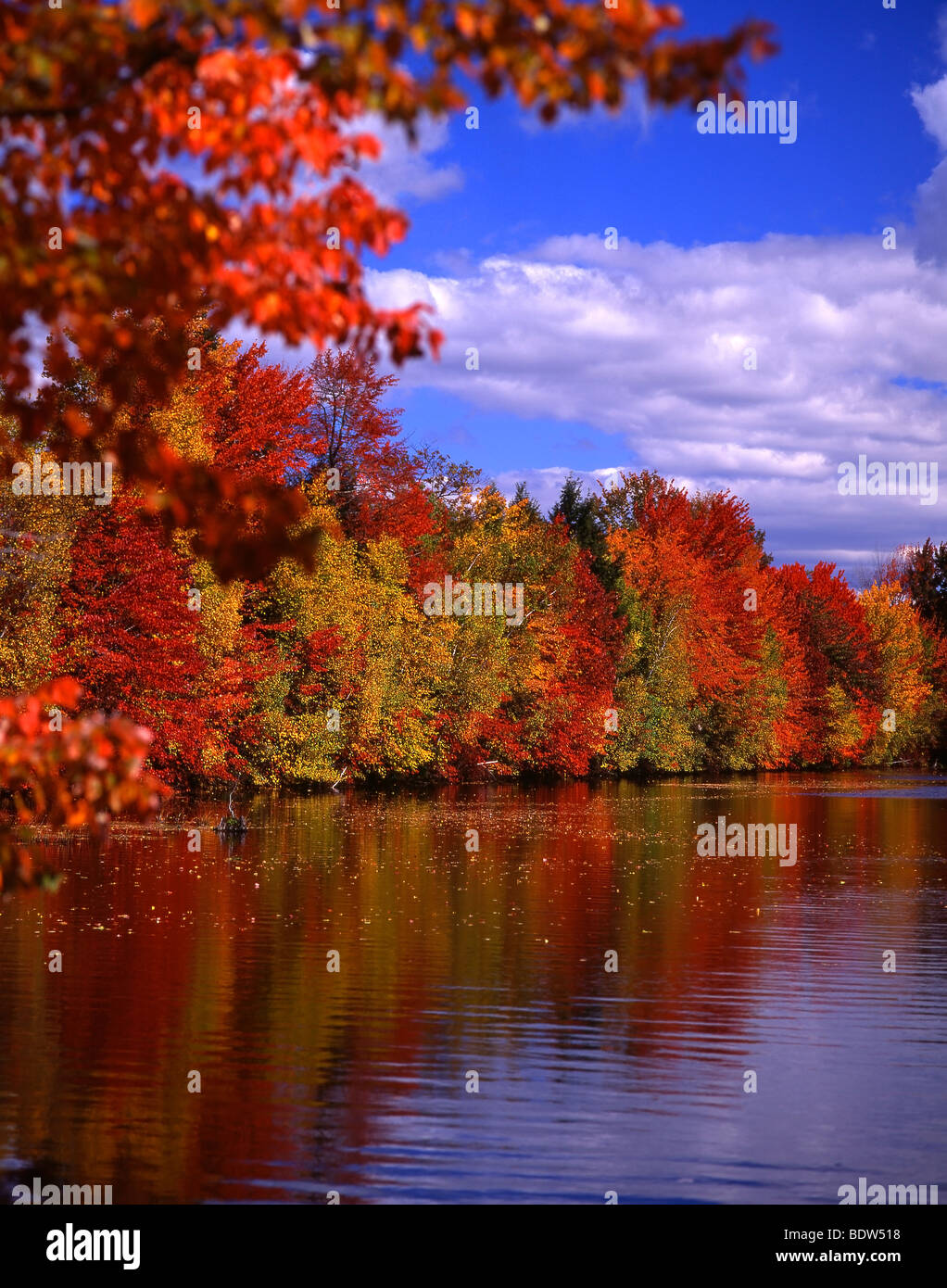 Heart Lake at autumn, Adirondacks Mountains Stock Photo - Alamy