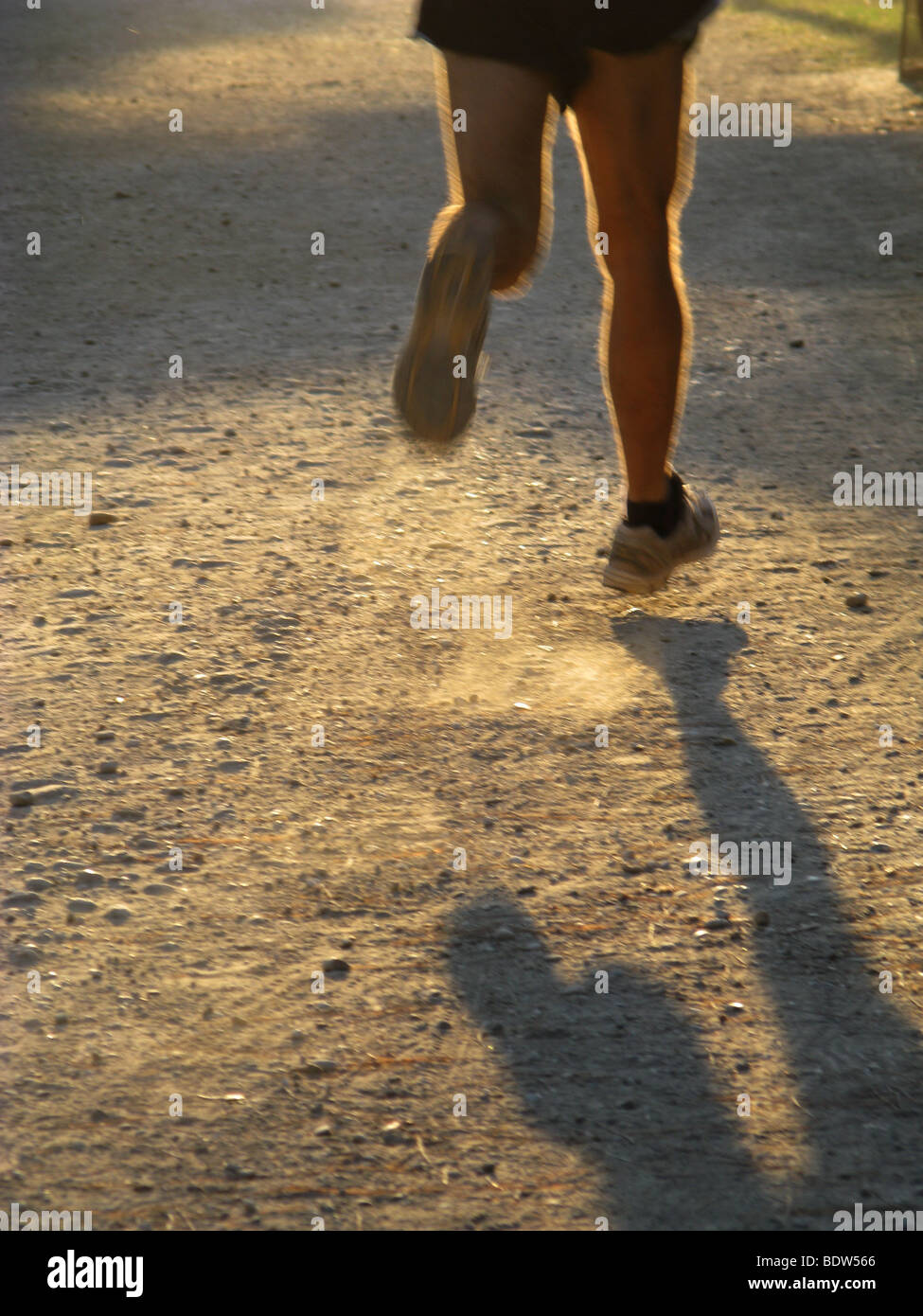 runner in action on footpath in sun Stock Photo - Alamy