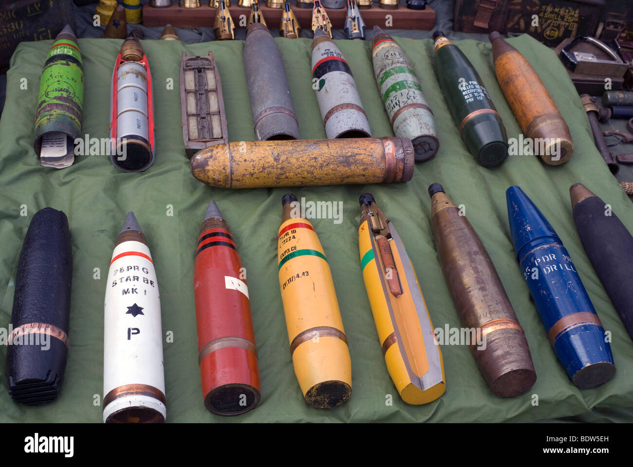 Selection of 17 old shells laid out on a table Stock Photo - Alamy