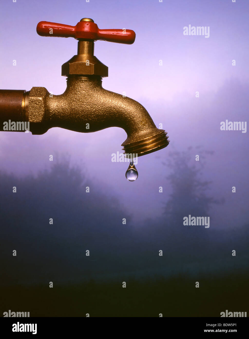 Drinking water concept hi-res stock photography and images - Alamy