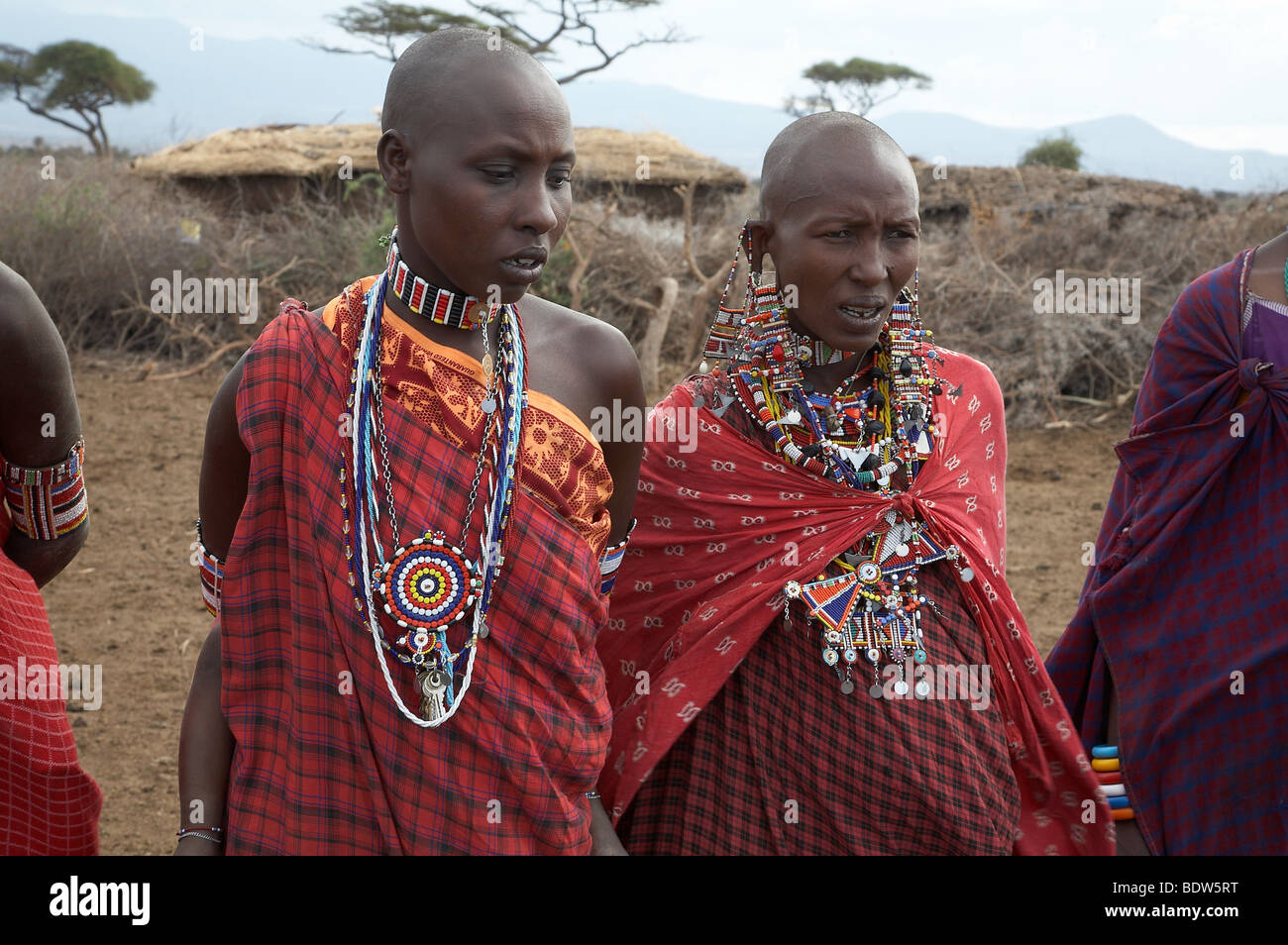 KENYA Masai women getting ready to dance at their Masai village within ...