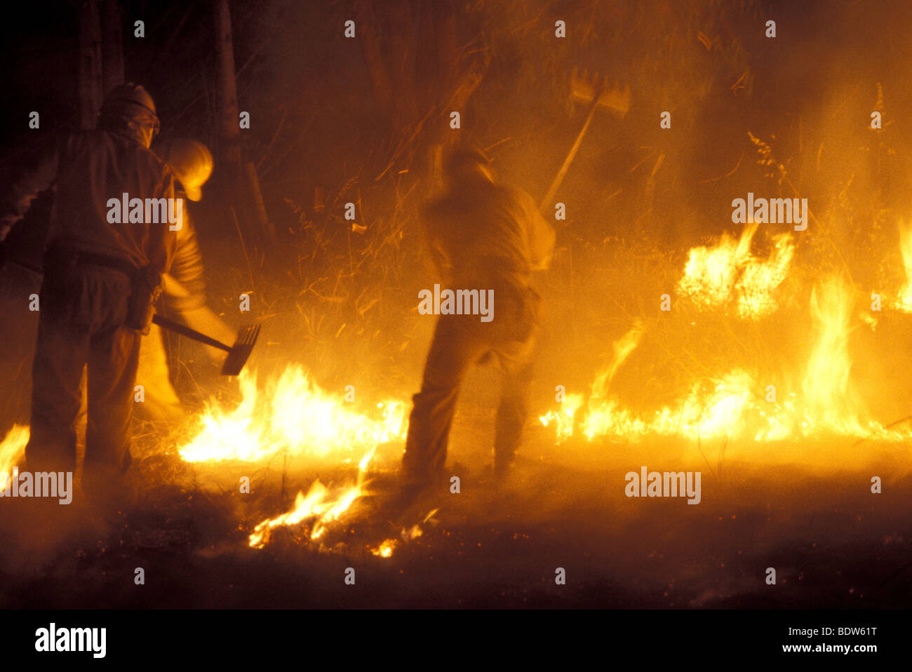 Firemen Fighting wildfire in California, USA Stock Photo - Alamy